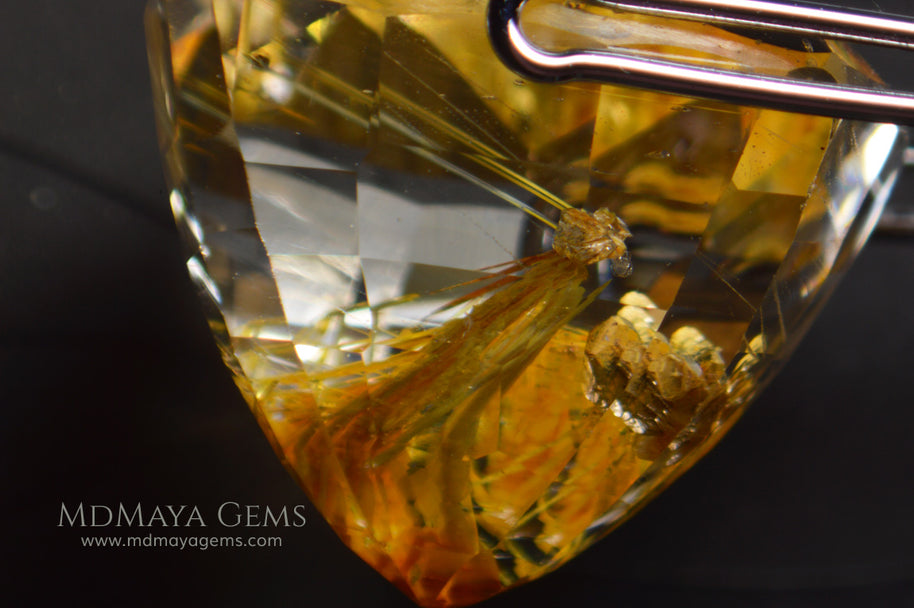White topaz with amazing golden inclusions 19.62 ct – MdMaya Gems