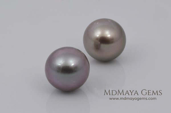 Round Tahitian Pearls Pair 23.54 - MdMaya Gems